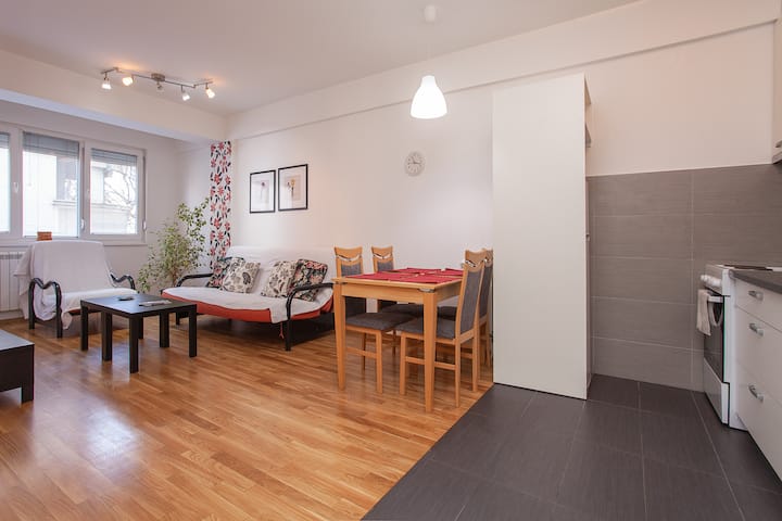 Snow's Apartment With Private Parking - North Macedonia