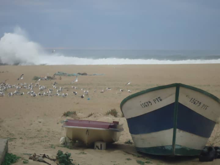 A Um Pé Da Praia, Aguda, Porto - Arcozelo
