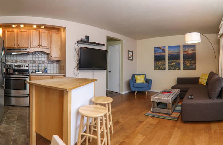 Mountain Getaway - 1 Bd 1 Ba Cozy Condo - Dillon, CO