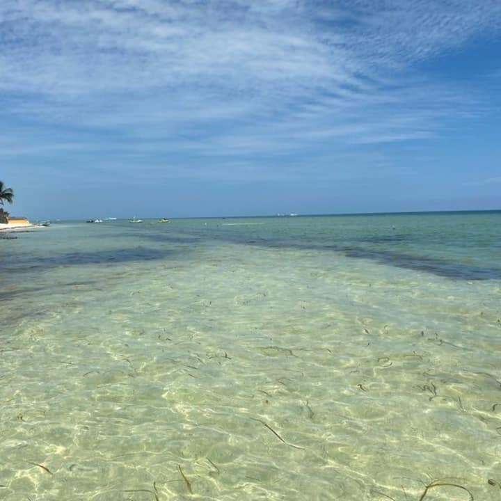 Beautiful And Comfy Beachfront Apartment Chicxulub - Yucatan