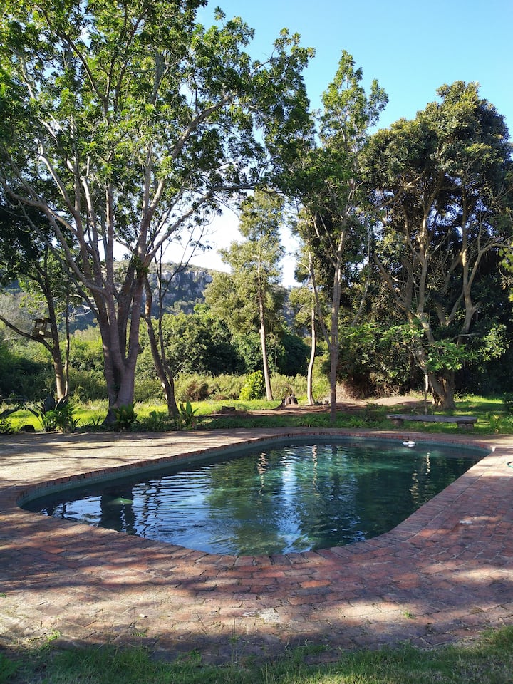 Chamelion Gardens - Plettenberg Bay