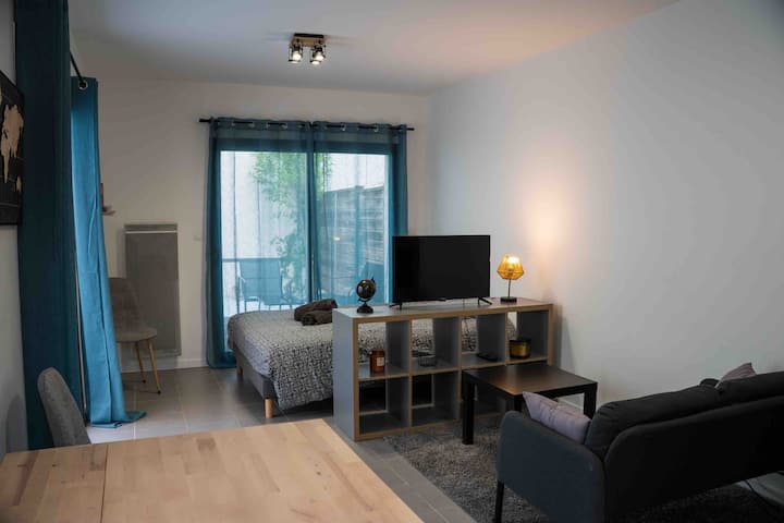 Le Patio /Parking/jardin - Toulouse