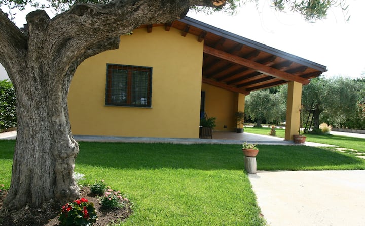 Guest House L'antico Vigneto - Marino