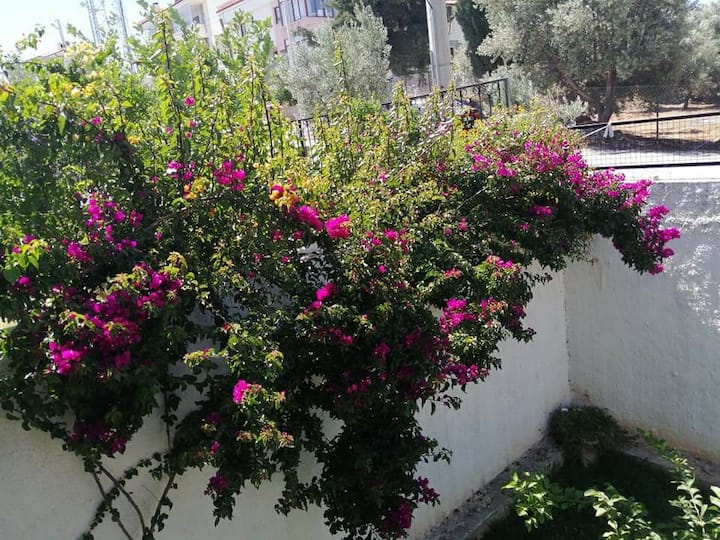 Geniş Bahçeli , Konforlu , Merkezi 1+1 Daire. - Datça