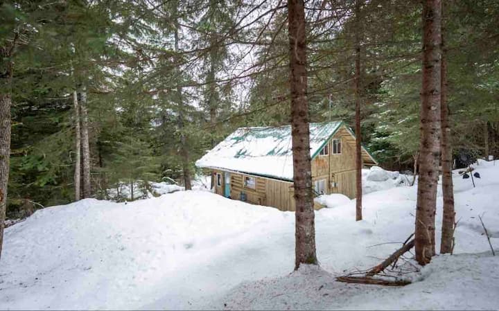 Cottage In The Woods - Kenai Fjords National Park