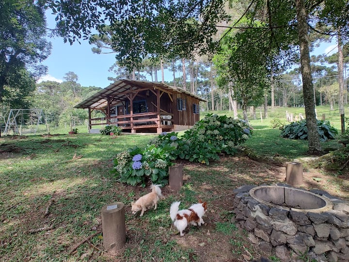 Casa Na Fazenda Com Acesso Fácil Na Rodovia - Campo Alegre