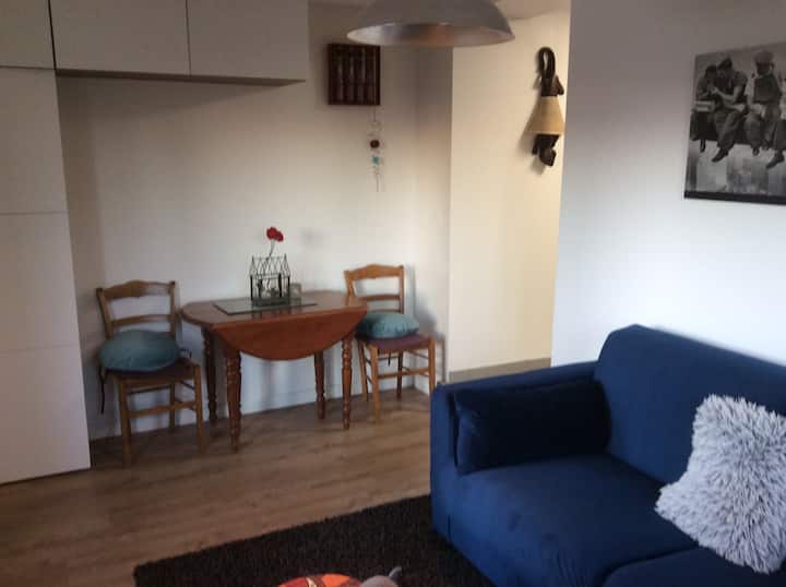 Studio Indépendant Dans Maison - Saint-Didier-au-Mont-d'Or