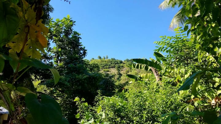 Coin Perdu Guest House (Chambre Privée 3) - Haiti