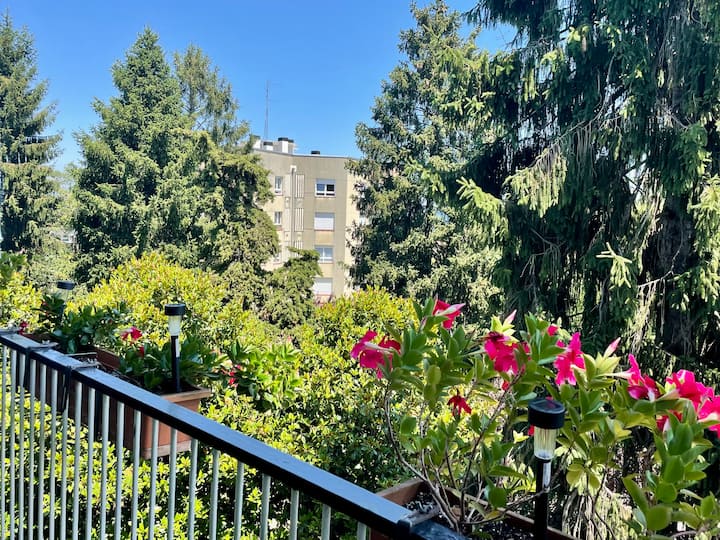 Céntrico Apartamento Con Terraza Y Parking - Hondarribia