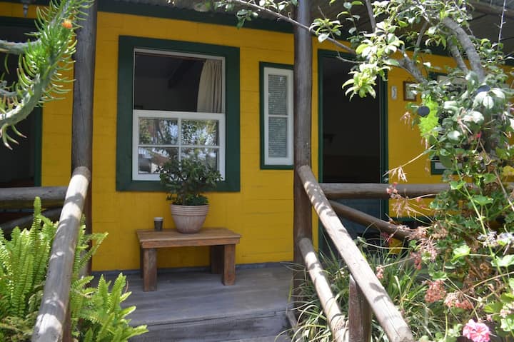 Linda Habitacion Matrimonial Centrico Con Jardin - La Serena