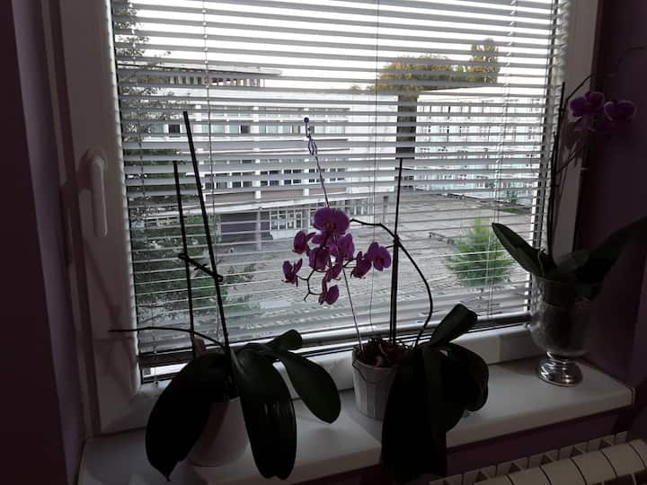 Anna's Apartment New Luxurious Cozy - Belgrade