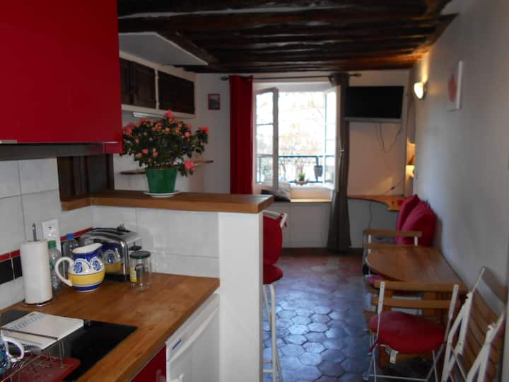 Un Studio Au Cœur Du Vieux Paris - Parijs