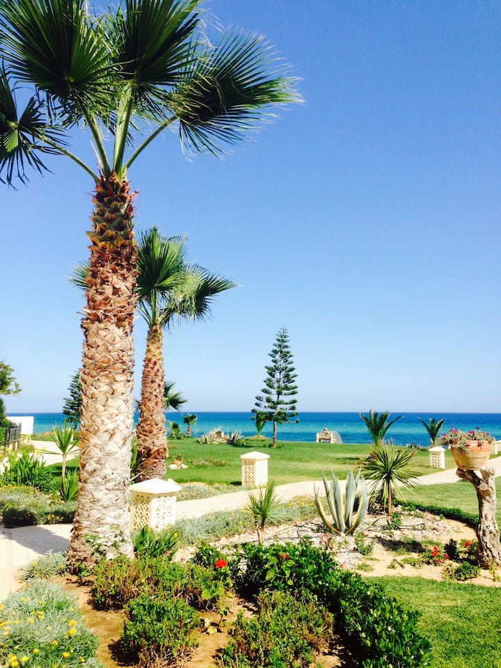 Appartement Rdc Avec Jardin Privé Pieds Dans L’eau - Hammamet
