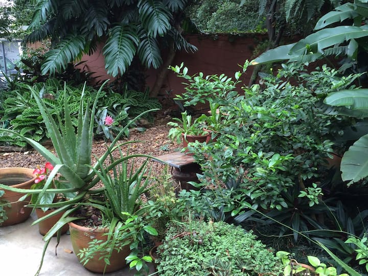 Green Studio: Espaço Com Jardim E Bem Localizado - São Paulo