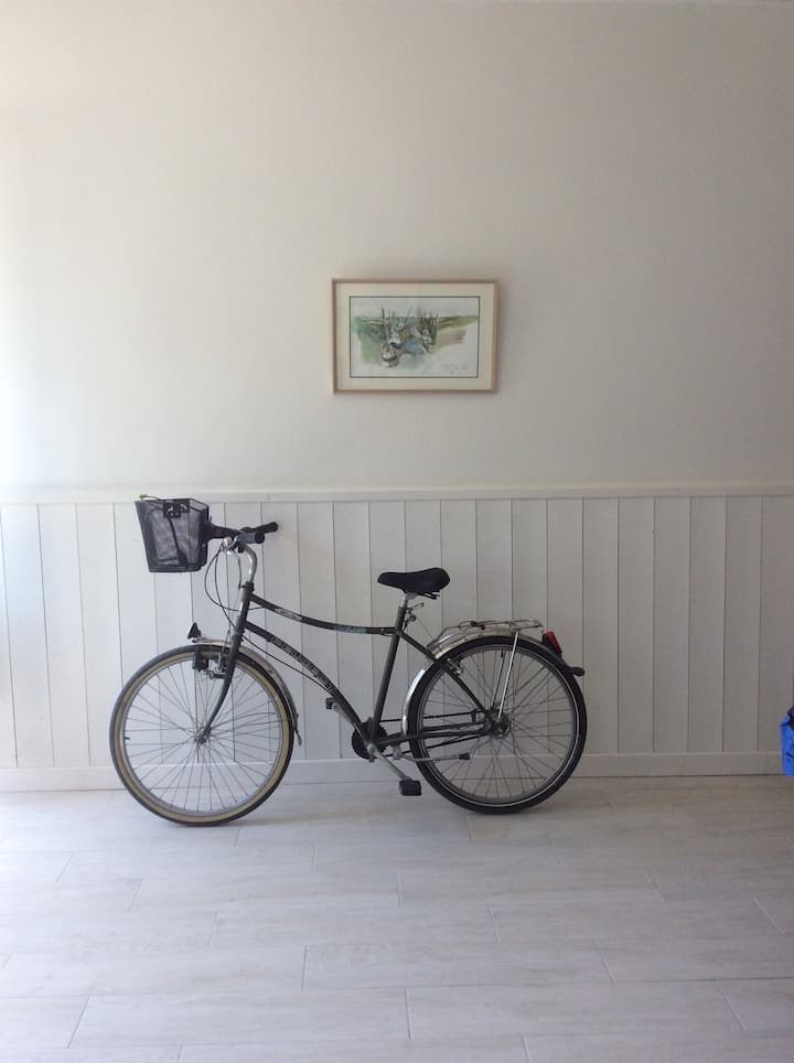 Vélo Et Aquarelle - Île de Ré