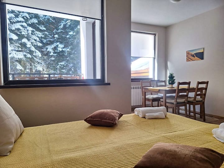 Studio A10 Borovets Gardens - Dolna Banya