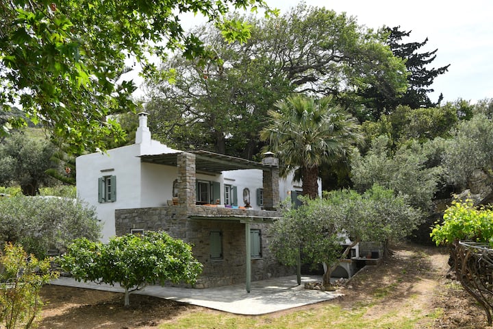 Villa Ekavi, Private House Close To Kite Surf Spot - Antiparos
