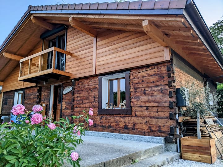 Charmant Chalet Proche Du Lac - Lake Geneva