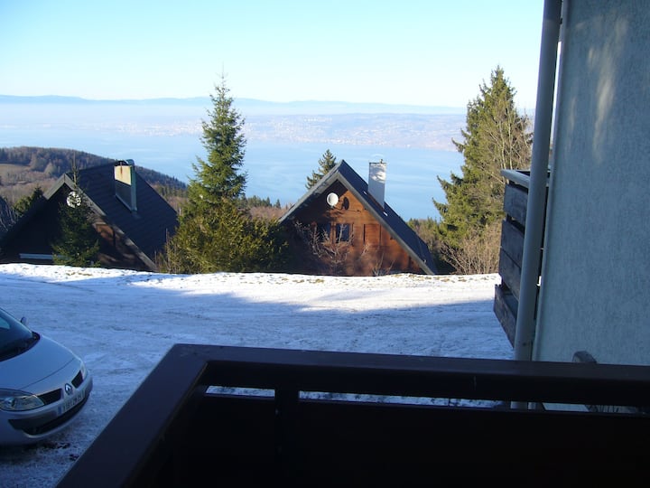 Studio Station Thollon Les Mémises - Bernex