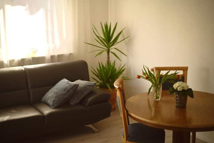 Sehr Beliebt! Ferienhaus Zur Donau - Riedlingen