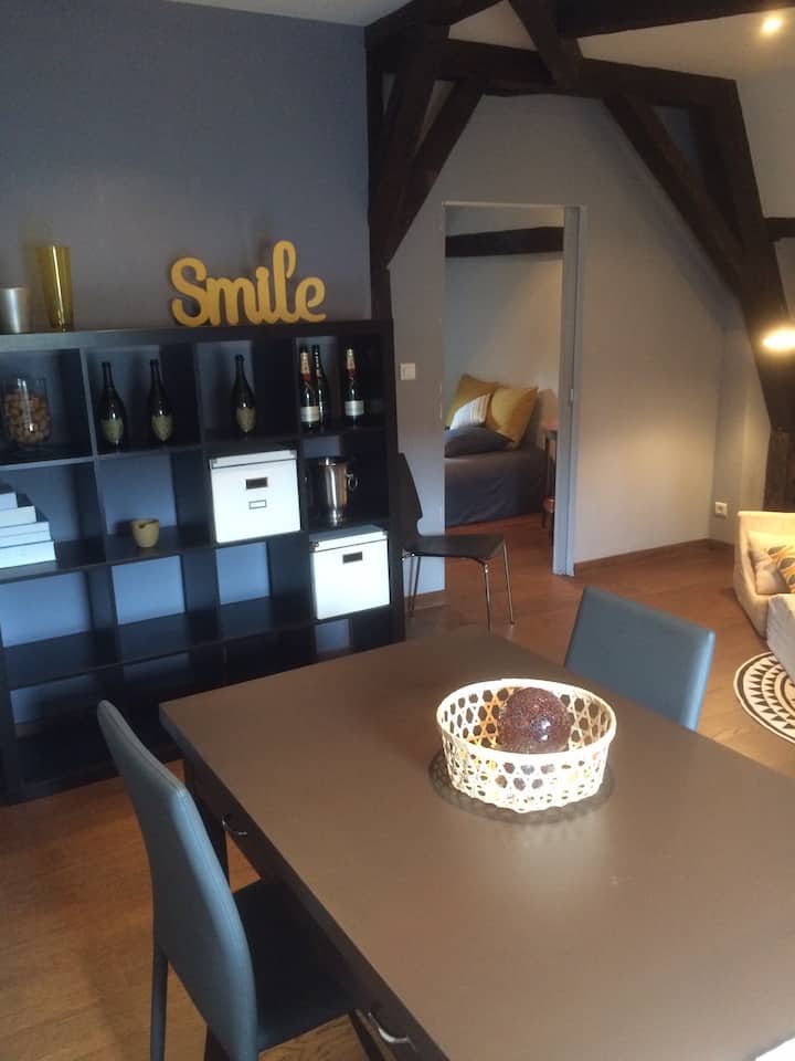 Grand Appartement De Charme Hypercentre Max 6 Pers - Nancy