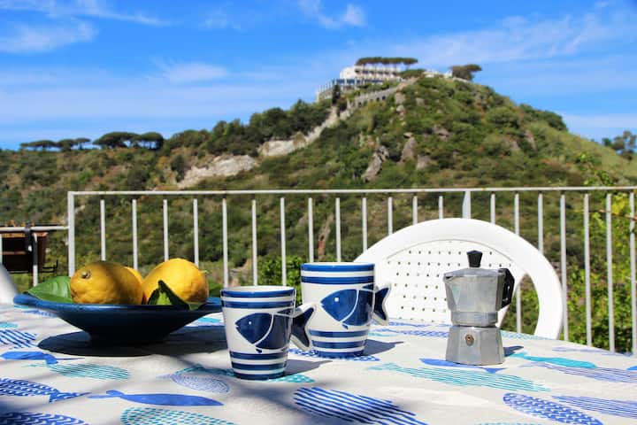 Casa Tifeo Con Giardino Villa Izzo Laccoameno - Forio