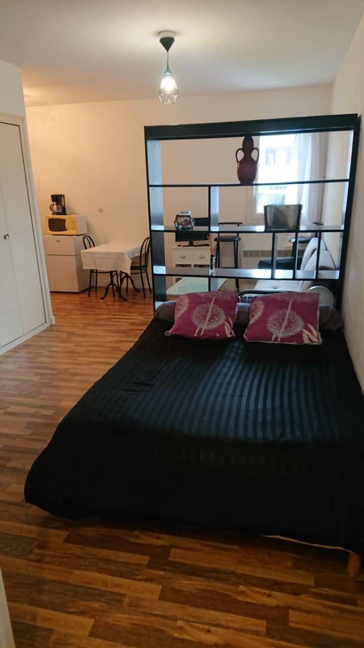 Beau Studio Meublé Corte - Corte