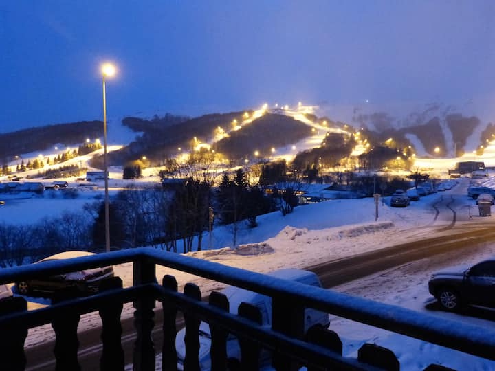 Chalet Des Hermines - Super-Besse