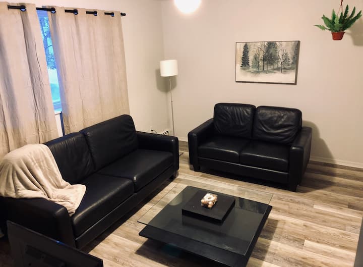 Downtown Apartment. Walk 2 Td Place & Canal! - Ottawa