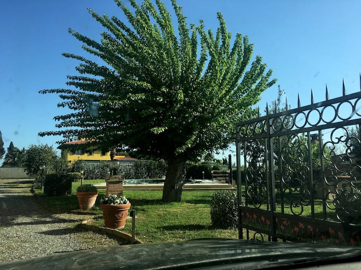 Villa Art House 1 Primo Piano - Cecina