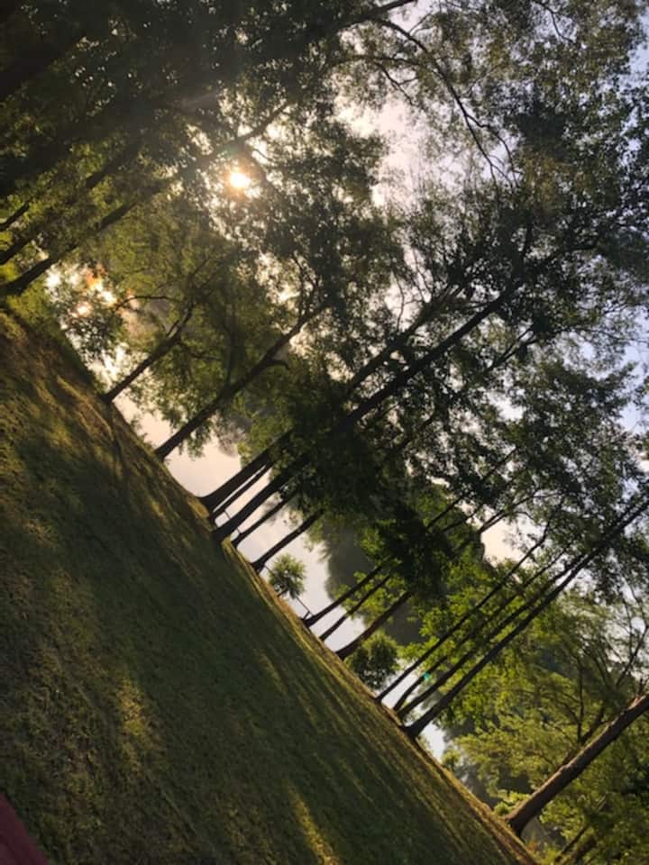 Lake Harding Vacation Rentals & Homes - United States | Airbnb