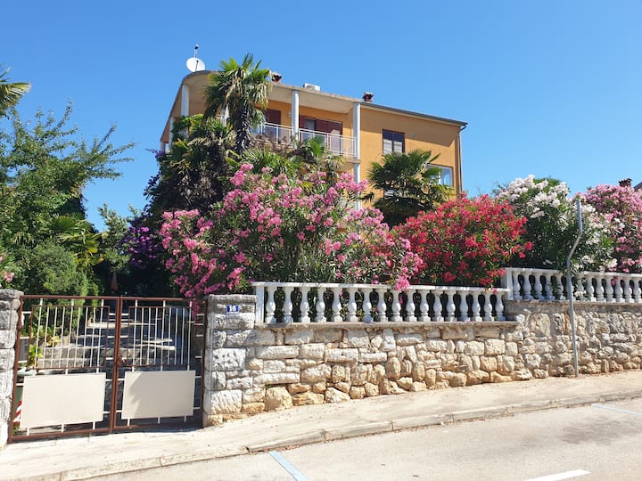 App Jadranka: Tailor-made Holiday - Rovinj