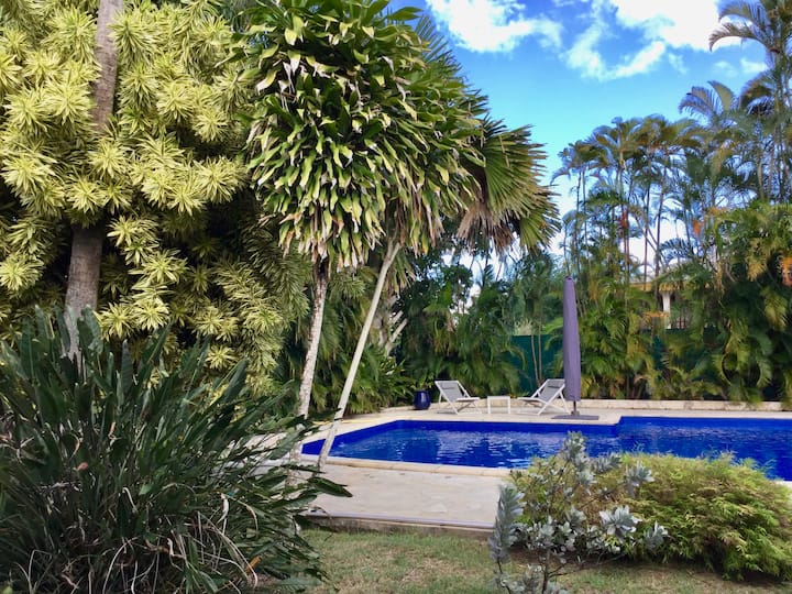 Les Contes D'hoffmann | The Tales Of Hoffmann - Guadeloupe