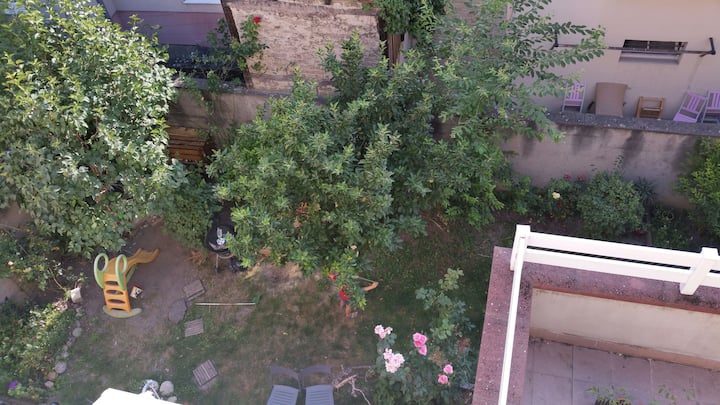 Strasbourg : Bel Appartement - Strasbourg