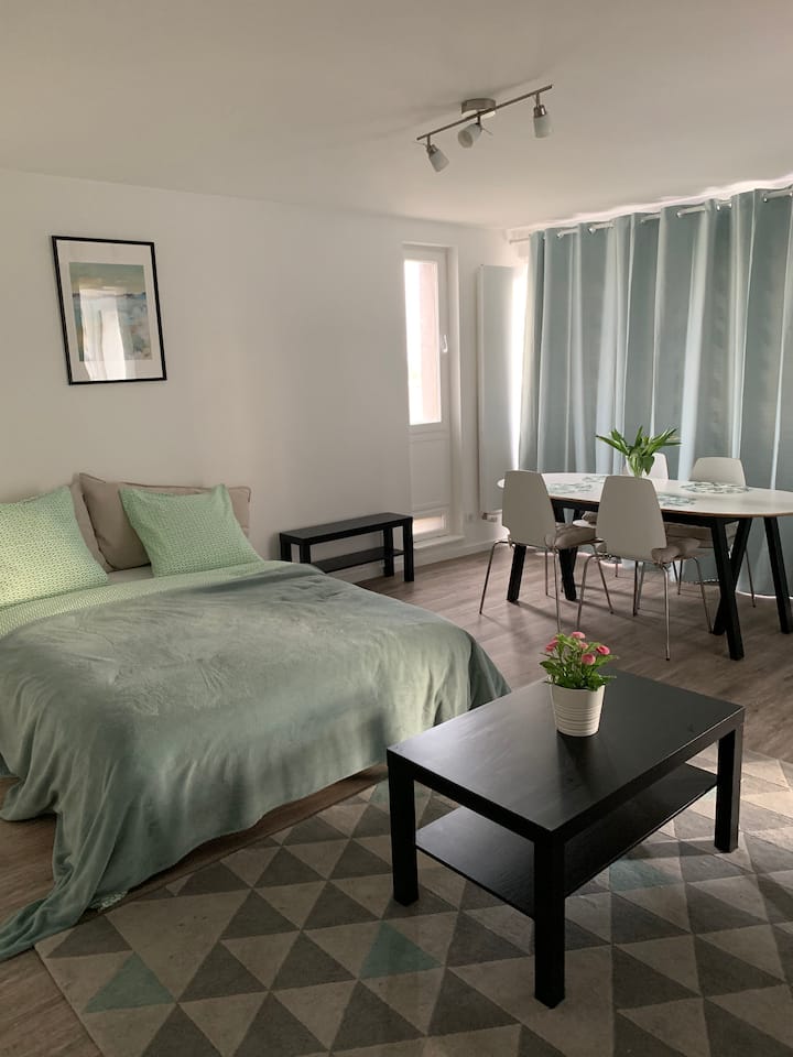 Charmant Appartement2 Pièces Près Arrêt Tram - Strasbourg