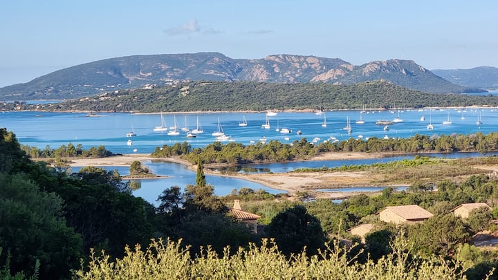 Villa 4 éToiles Vue Mer Piscine - Lecci