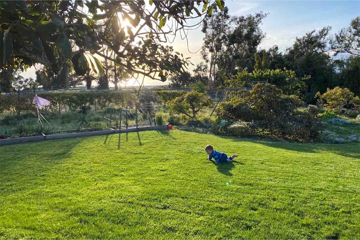 Carpinteria Beach Bungalow With A View - Carpinteria, CA