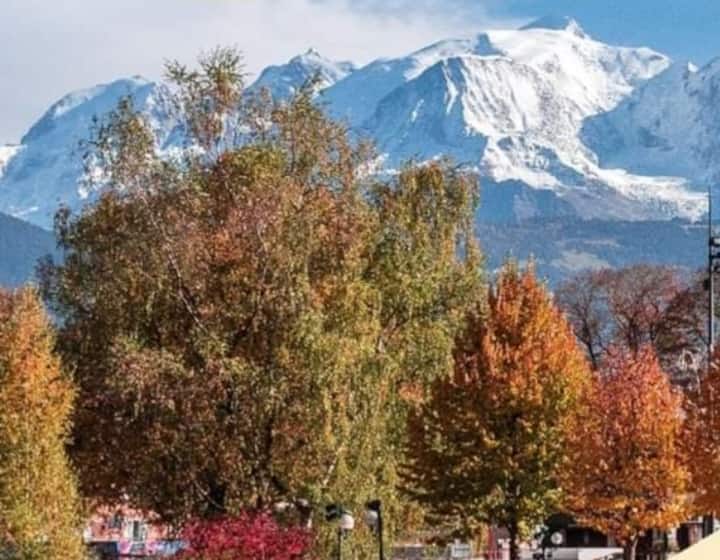 Petit Chalet Avec Piscine Vue Mont Blanc - Combloux