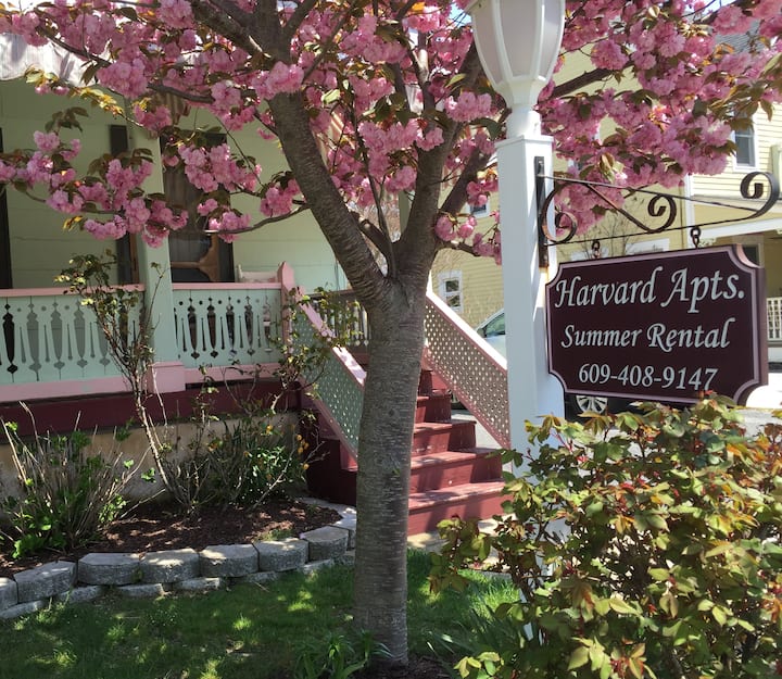 Apt#2 4bdrm - Walk To Beach, Congress Hall & Mall - Cape May, NJ