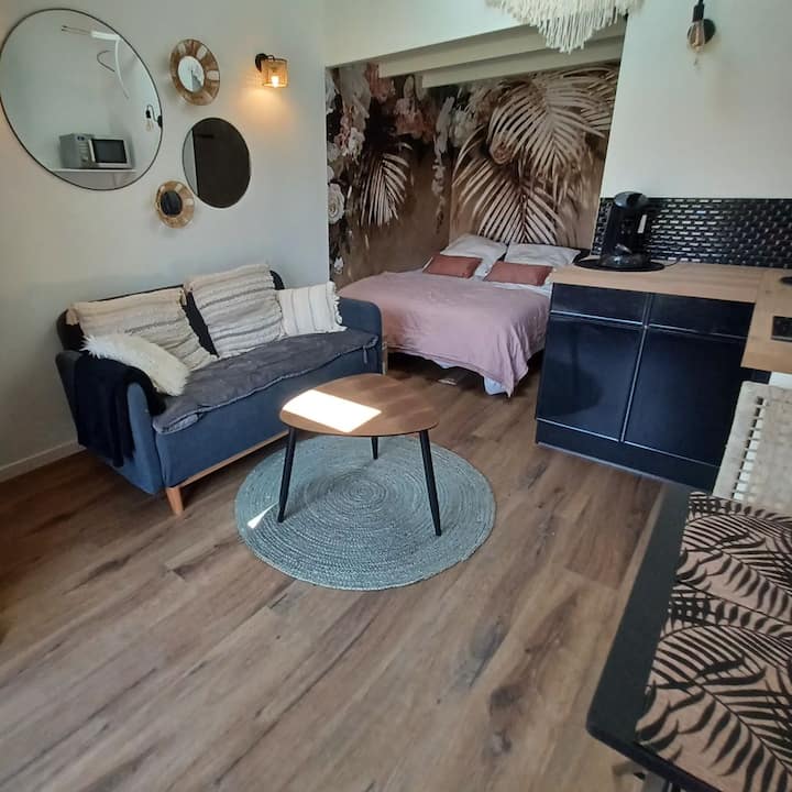Petit Cocon - L'Isle-sur-la-Sorgue