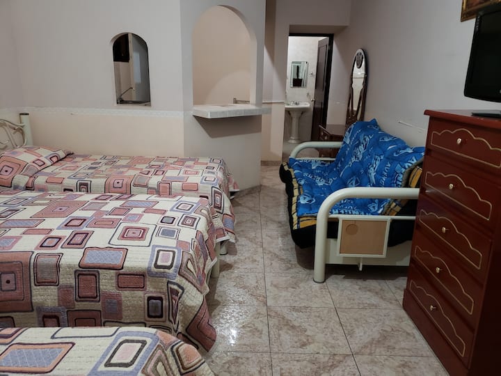 Departamento A Pasos De La Monumental Centrico - Aguascalientes