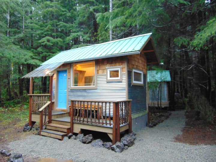 Rain Forest Cabin - Lake Crescent, WA