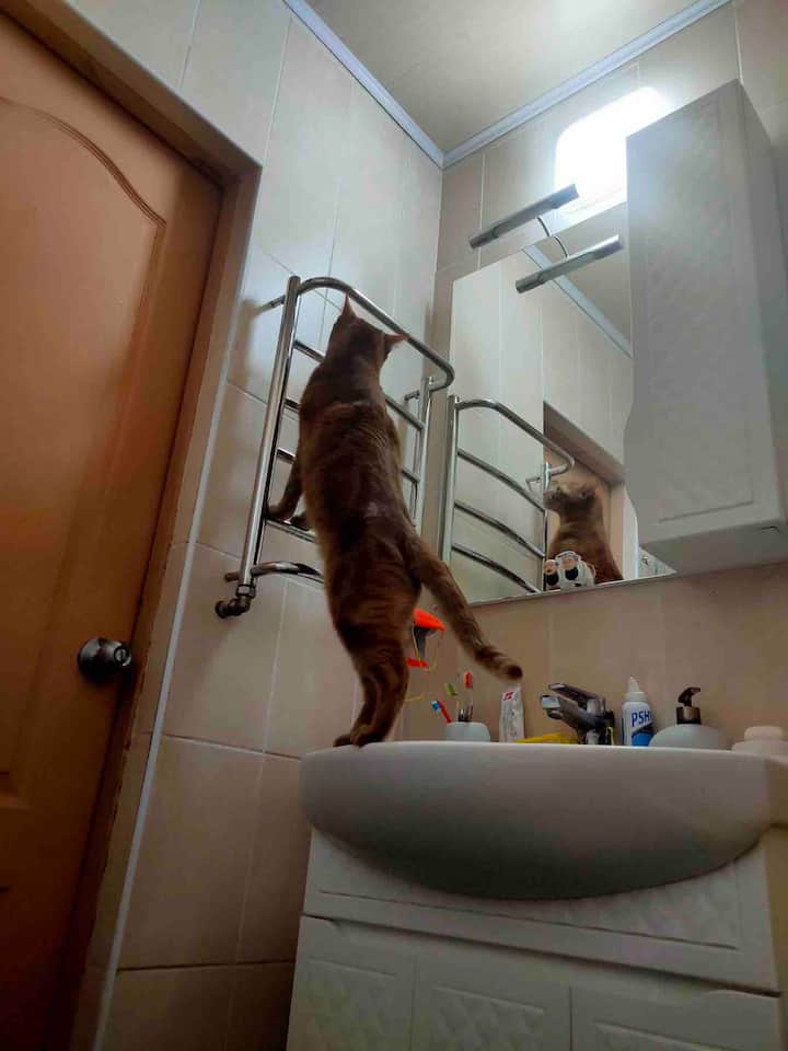 Donations For My Family. We’re From Ukraine 🇺🇦 - Харьковская область