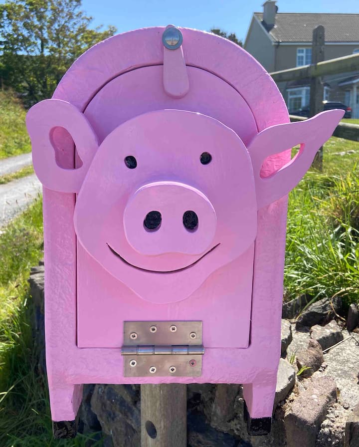 Pink Pig - Dingle