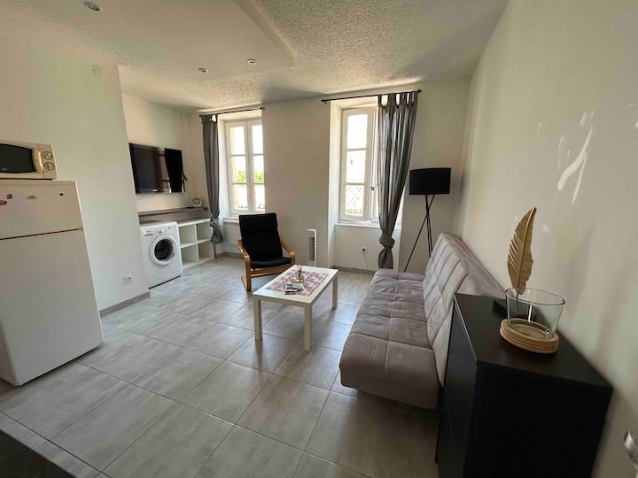 Splendide Appartement En Bastide - Carcassonne