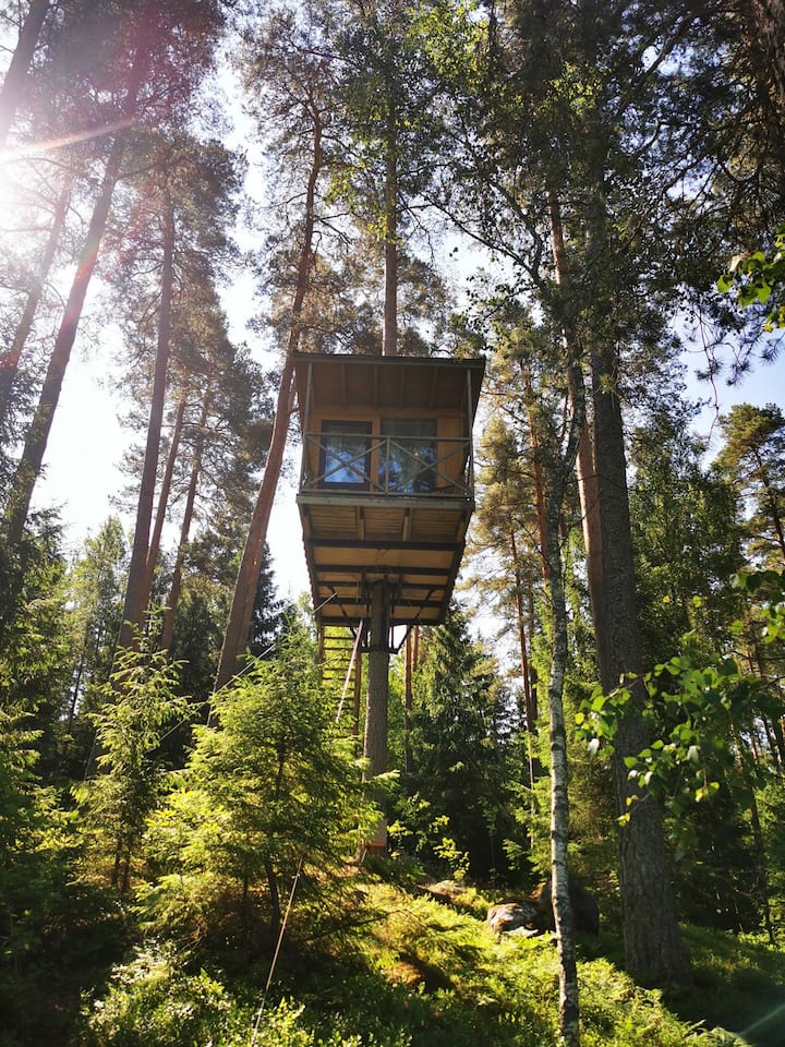 Borgskogens Trädkoja - Suecia