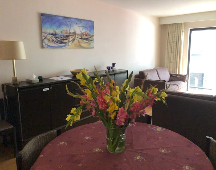 Bel Appartement, Vue Sur Mer, Au Centre De Knokke - Brujas