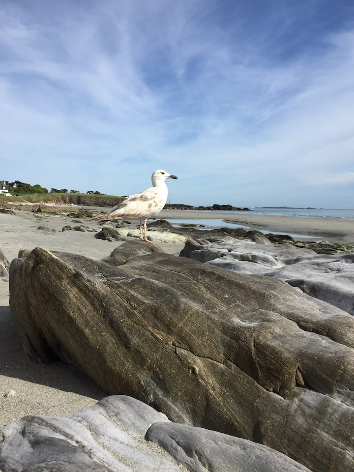 Maison La Clarté - Névez