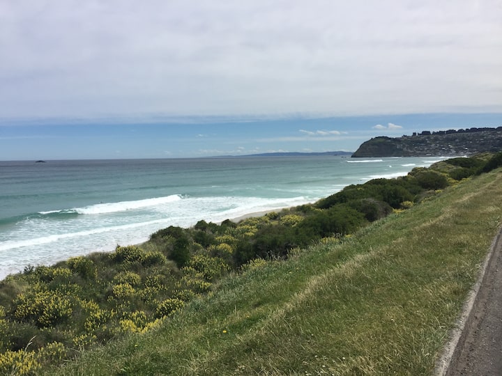 Beach City House, 5 Mins To Beach - Entire House - Dunedin