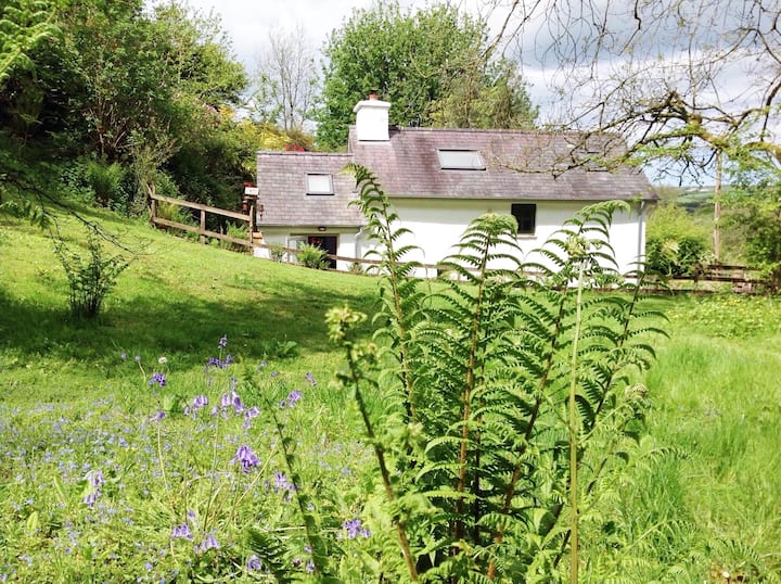 Fron Fach Cardigan Bay Arty In A Wood Dogs Love It - Llangrannog